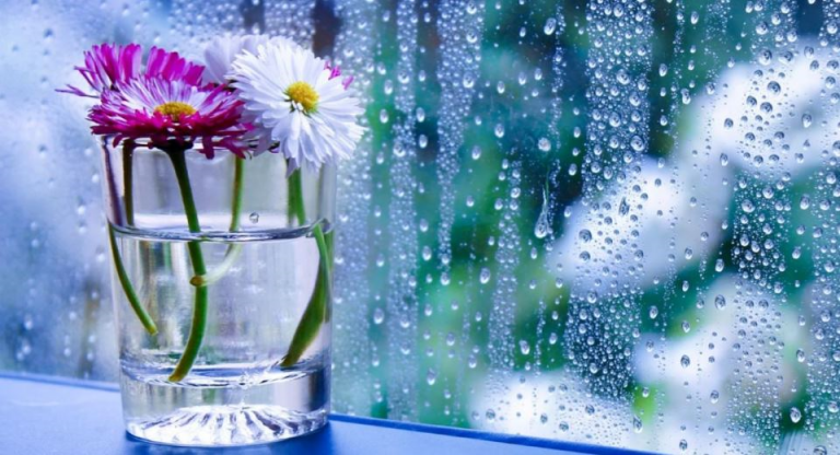 CUM SA STOPEZI CONDENSAREA - Pajero